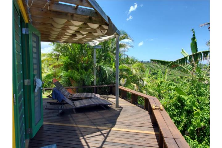 Cliff Puerto Rico, Venta Bienes Raíces Isabela Puerto Rico, Real Estate ...