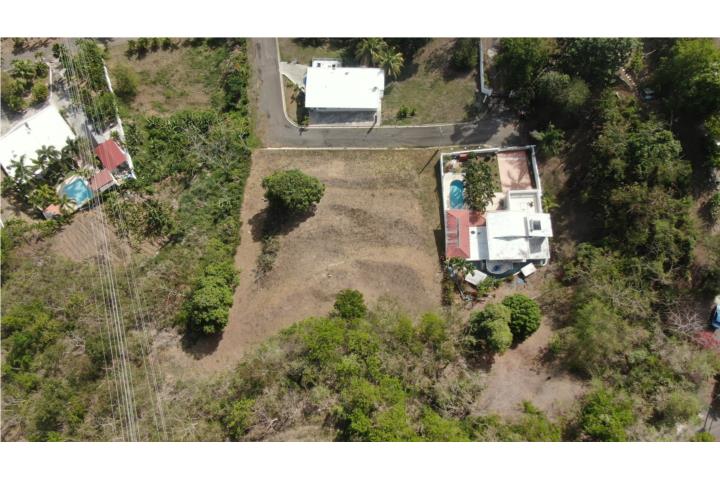 Rio Grande Puerto Rico, Venta Bienes Raíces Rincón Puerto Rico, Real ...