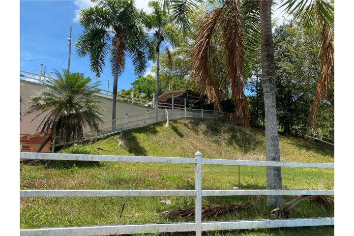 Esperanza Puerto Rico, Venta Bienes Raíces Arecibo Puerto Rico, Real ...