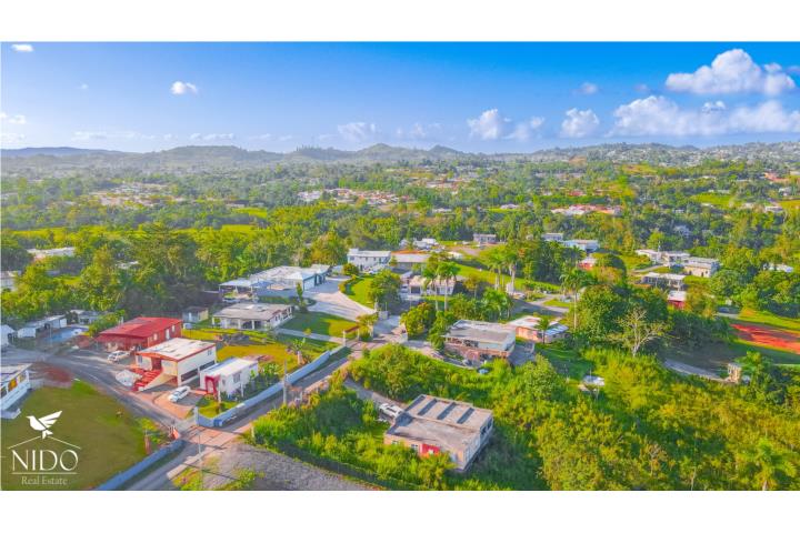Bayamon Puerto Rico, Venta Bienes Raíces Cidra Puerto Rico, Real Estate ...
