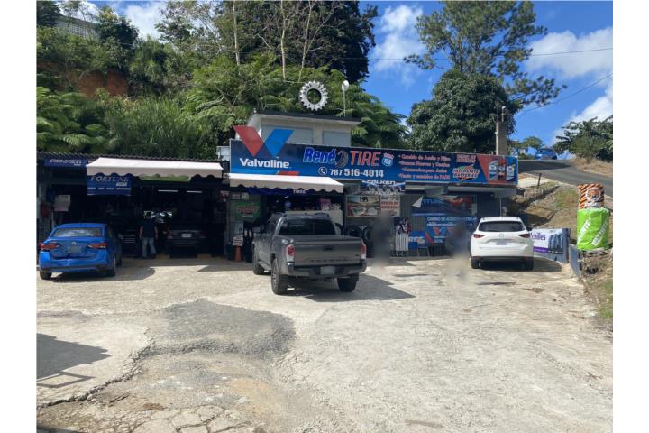 Padilla Puerto Rico, Venta Bienes Raíces Corozal Puerto Rico, Real ...