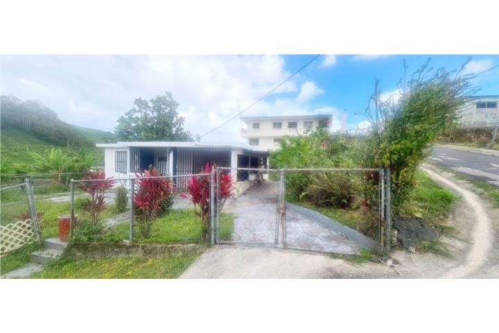 Rio Blanco Puerto Rico, Venta Bienes Raíces Naguabo Puerto Rico, Real ...