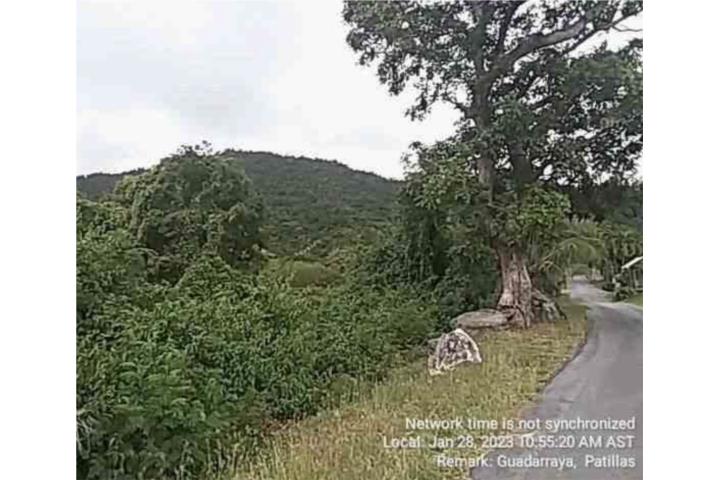 Guardarraya Puerto Rico, Venta Bienes Raíces Patillas Puerto Rico, Real ...