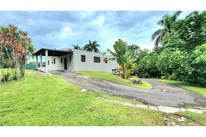 Quebrada Puerto Rico, Venta Bienes Raíces Camuy Puerto Rico, Real ...