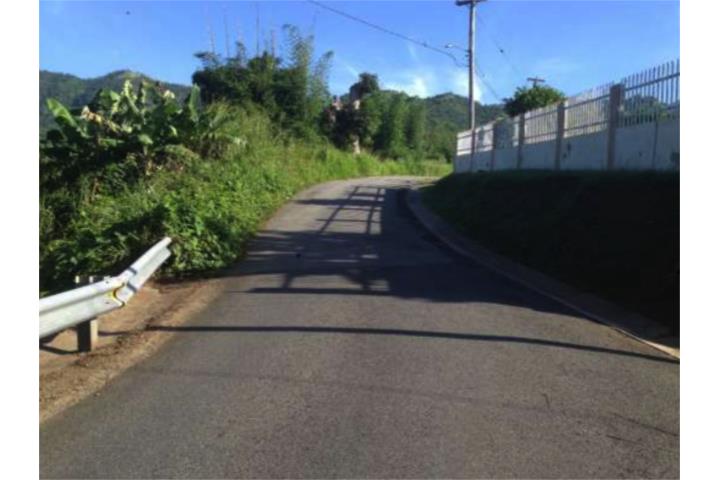 Caimito Puerto Rico, Venta Bienes Raíces Juncos Puerto Rico, Real ...