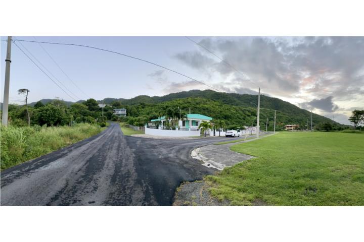 Guardarraya Puerto Rico, Venta Bienes Raíces Patillas Puerto Rico, Real ...
