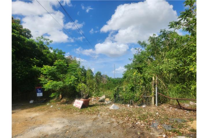 Caimito Alto Puerto Rico, Venta Bienes Raíces San Juan - Río Piedras ...