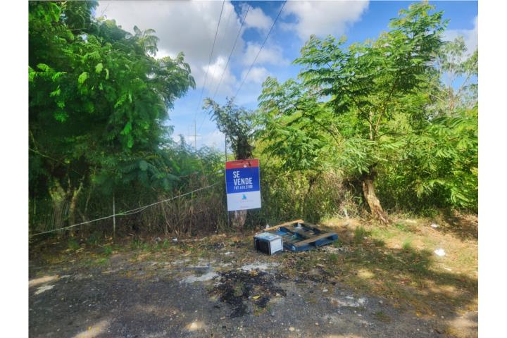 Caimito Alto Puerto Rico, Venta Bienes Raíces San Juan - Río Piedras ...