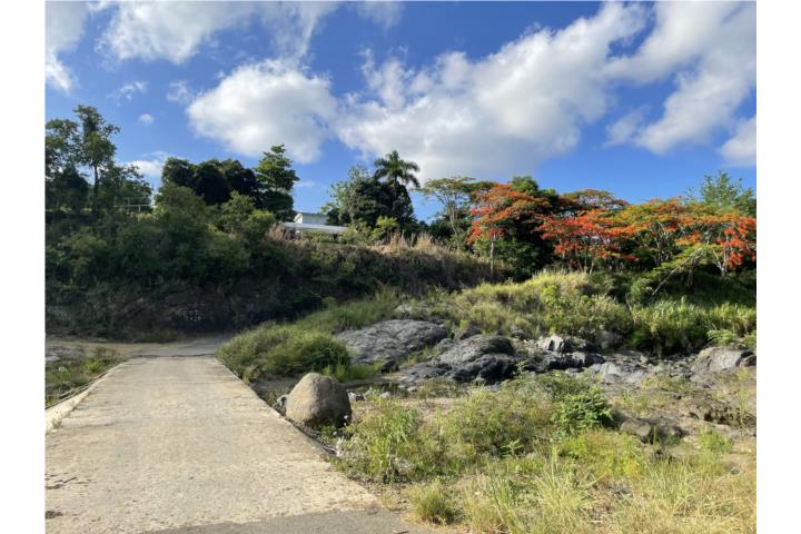 Rincon Puerto Rico, Venta Bienes Raíces Cidra Puerto Rico, Real Estate ...