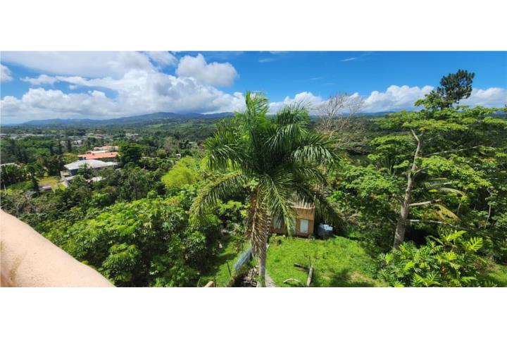 La Peninsula Puerto Rico, Venta Bienes Raíces Cidra Puerto Rico, Real ...