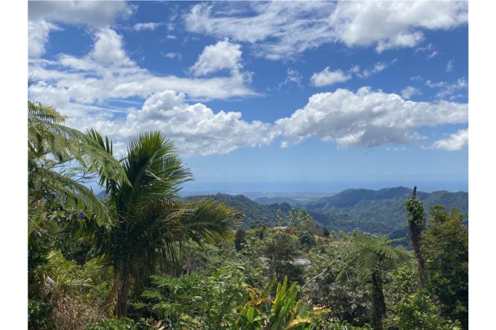 Haciendas Del Lago Puerto Rico, Venta Bienes Raíces Ponce Puerto Rico ...