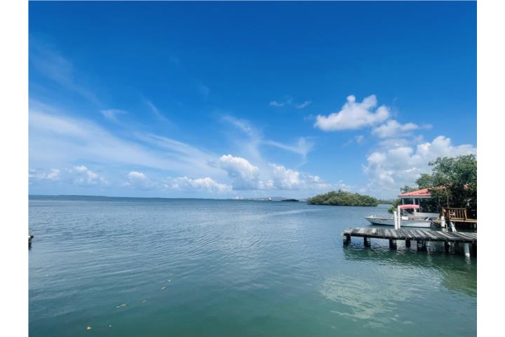 Tallaboa Encarnacion Puerto Rico, Venta Bienes Raíces Peñuelas Puerto ...