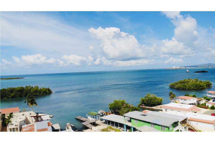 Tallaboa Encarnacion Puerto Rico, Venta Bienes Raíces Peñuelas Puerto ...