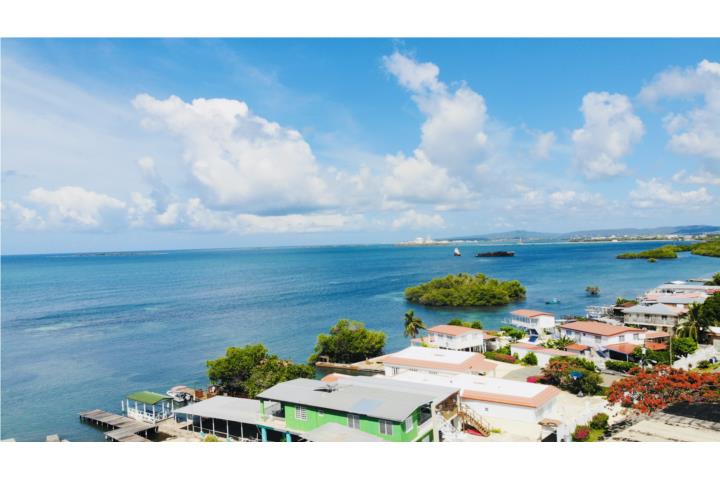 Tallaboa Encarnacion Puerto Rico, Venta Bienes Raíces Peñuelas Puerto ...