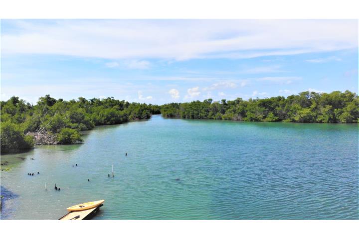 Tallaboa Encarnacion Puerto Rico, Venta Bienes Raíces Peñuelas Puerto ...