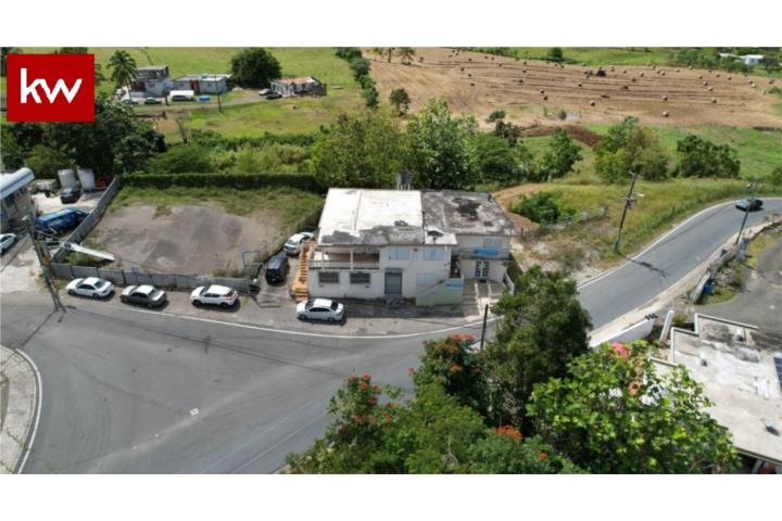 Quebrada Puerto Rico, Venta Bienes Raíces Camuy Puerto Rico, Real ...