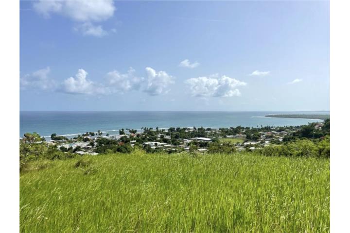 Guardarraya Puerto Rico, Venta Bienes Raíces Patillas Puerto Rico, Real ...