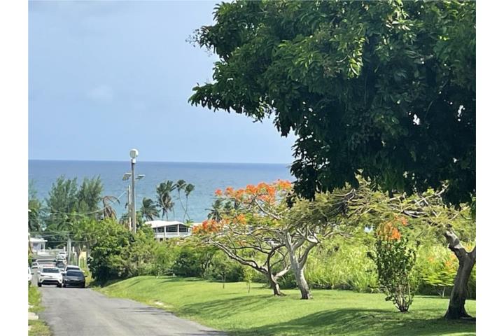 Guardarraya Puerto Rico, Venta Bienes Raíces Patillas Puerto Rico, Real ...