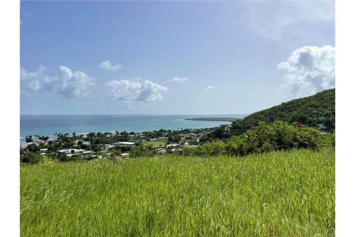 Guardarraya Puerto Rico, Venta Bienes Raíces Patillas Puerto Rico, Real ...