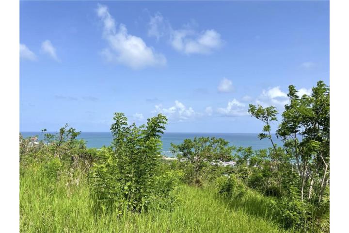 Guardarraya Puerto Rico, Venta Bienes Raíces Patillas Puerto Rico, Real ...