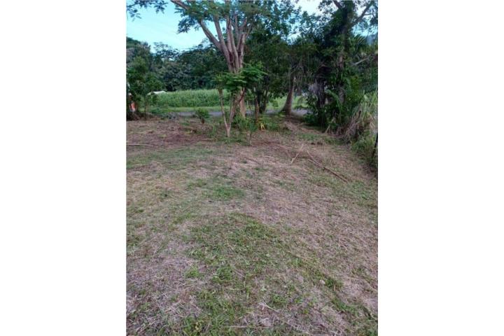 Colinas Del Yunque Puerto Rico, Venta Bienes Raíces Río Grande Puerto ...