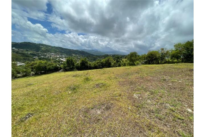 Quebrada Grande Puerto Rico, Venta Bienes Raíces Trujillo Alto Puerto ...