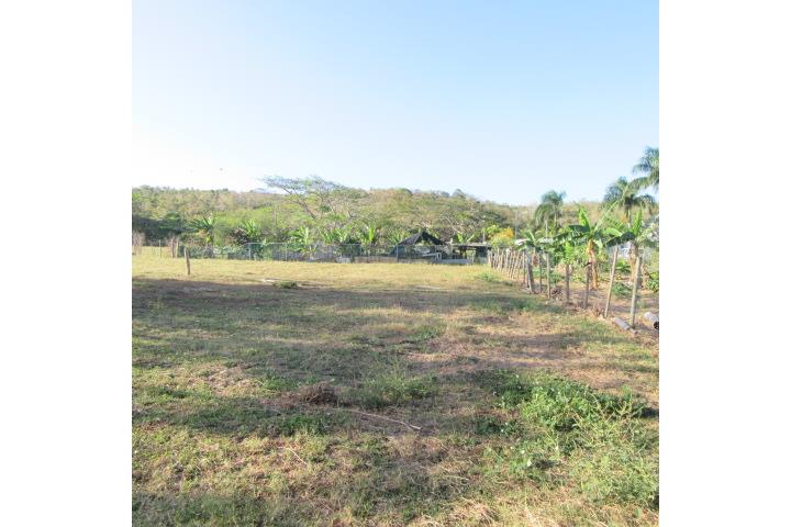 Coto Puerto Rico, Venta Bienes Raíces Isabela Puerto Rico, Real Estate ...