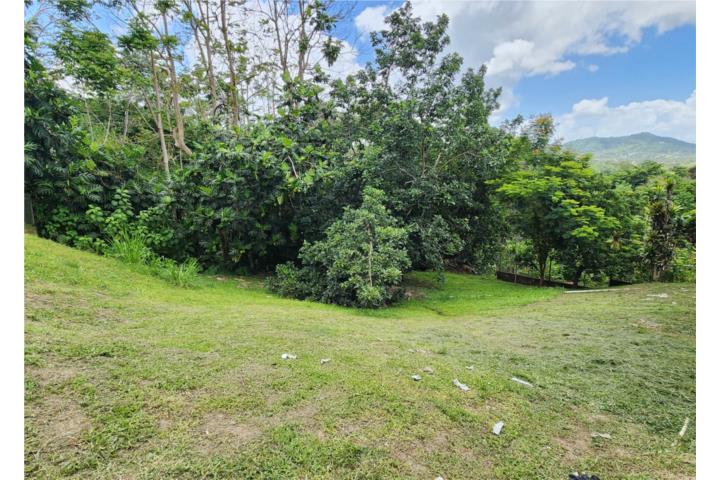 Cerro Gordo Puerto Rico, Venta Bienes Raíces San Lorenzo Puerto Rico ...