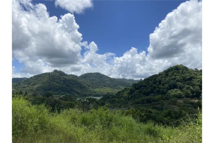 Bartolo Puerto Rico, Venta Bienes Raíces Lares Puerto Rico, Real Estate ...