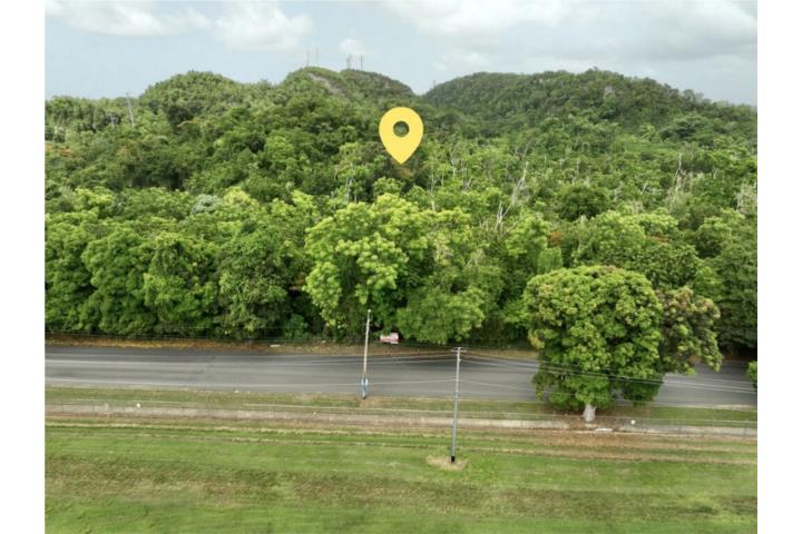 Coto Norte Puerto Rico, Venta Bienes Raíces Manatí Puerto Rico, Real ...