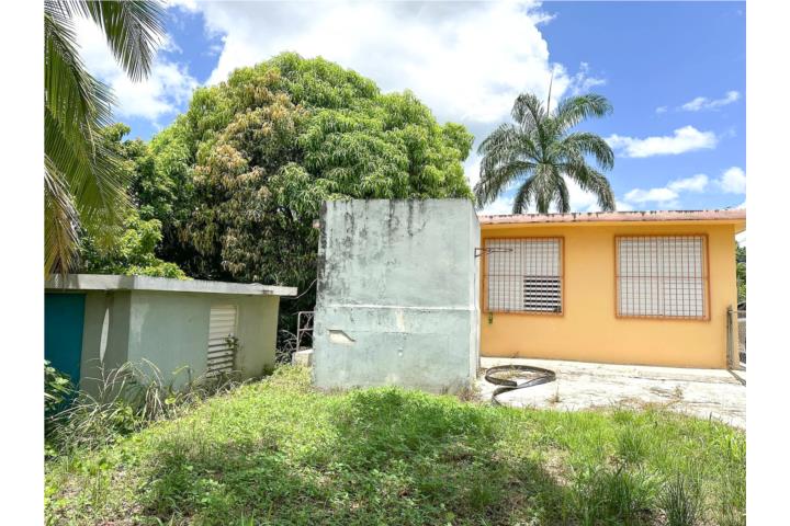 Naranjo Puerto Rico, Venta Bienes Raíces Moca Puerto Rico, Real Estate ...