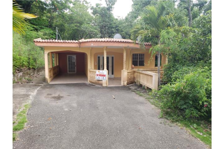 Vazquez Puerto Rico, Venta Bienes Raíces Salinas Puerto Rico, Real ...