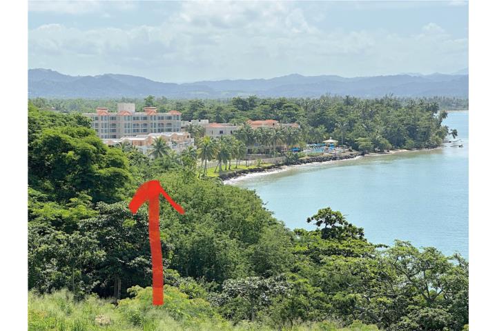 Playa Almirante Puerto Rico, Venta Bienes Raíces Añasco Puerto Rico ...
