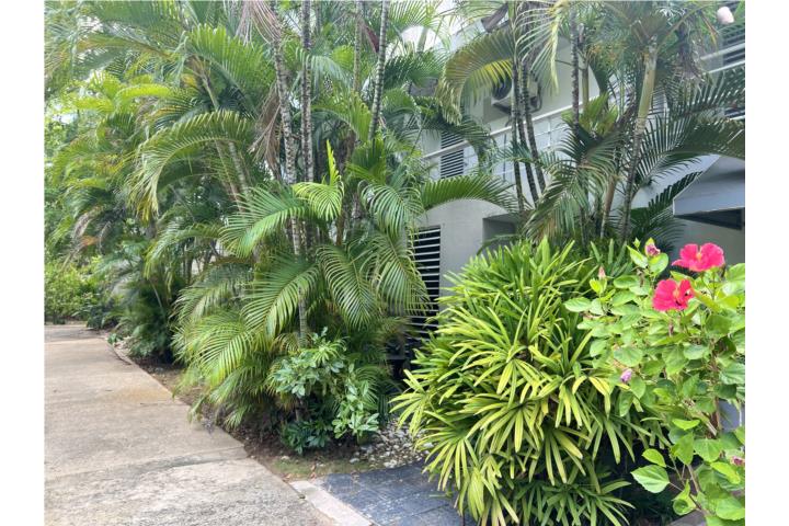 El Monte Sur Puerto Rico, Venta Bienes Raíces San Juan - Hato Rey ...