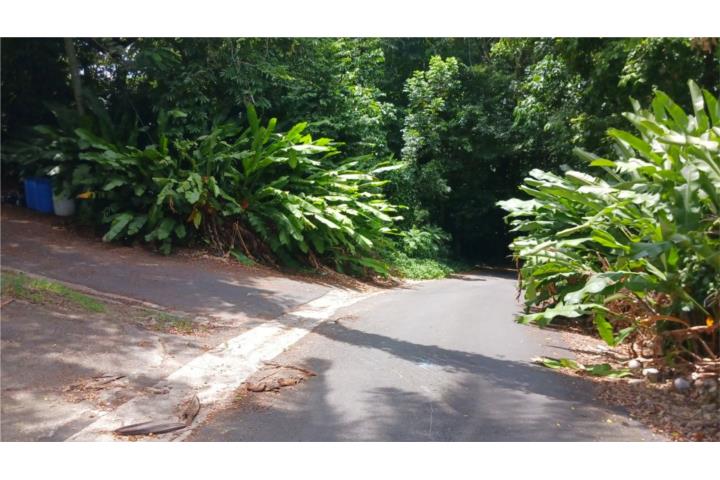 Caimito Alto Puerto Rico, Venta Bienes Raíces San Juan - Río Piedras ...