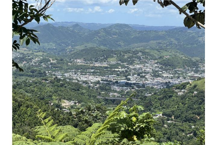 Quebrada Arriba Puerto Rico, Venta Bienes Raíces Cayey Puerto Rico ...