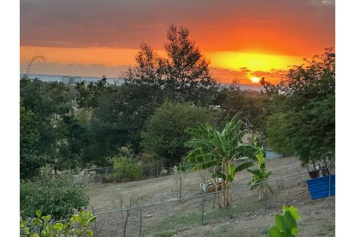 El Mani Puerto Rico, Venta Bienes Raíces Rincón Puerto Rico, Real ...