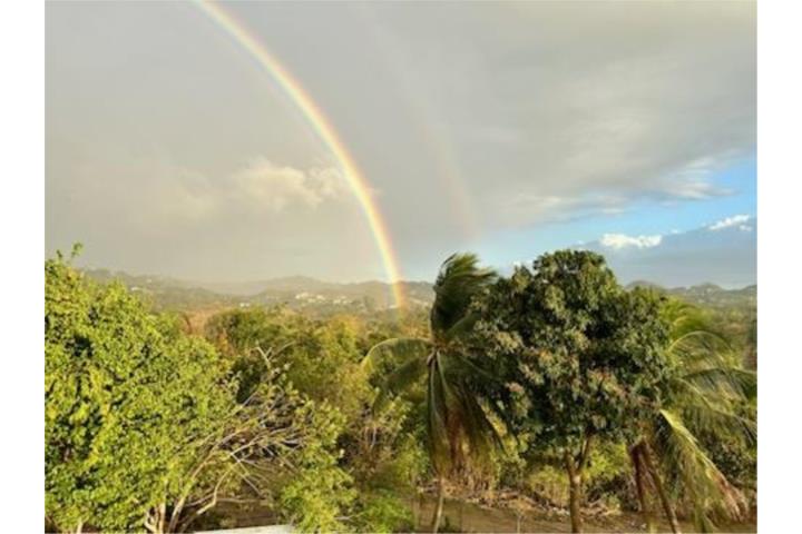El Mani Puerto Rico, Venta Bienes Raíces Rincón Puerto Rico, Real ...