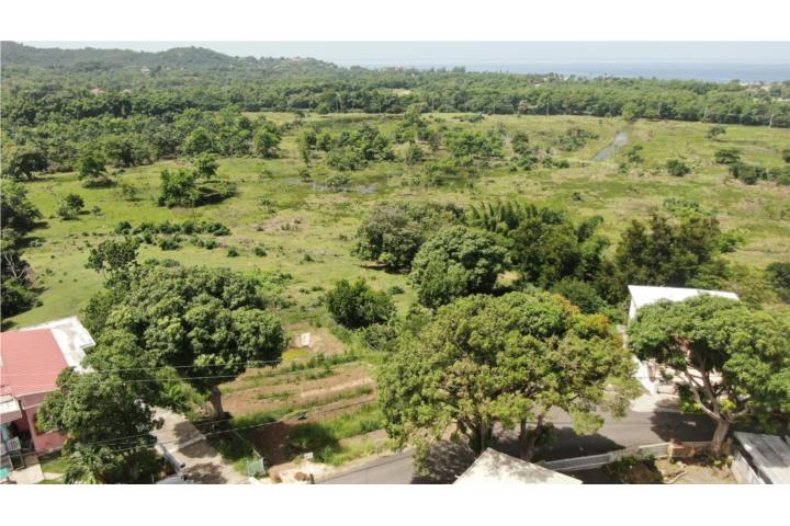 El Mani Puerto Rico, Venta Bienes Raíces Rincón Puerto Rico, Real ...