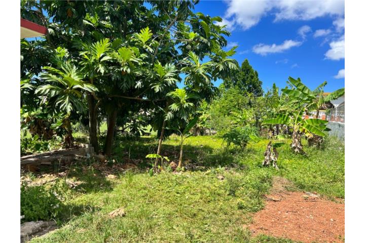 Van Scoy Puerto Rico, Venta Bienes Raíces Bayamón Puerto Rico, Real ...