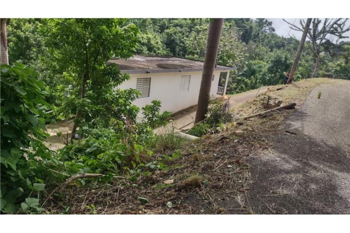 Planas Puerto Rico, Venta Bienes Raíces Isabela Puerto Rico, Real ...