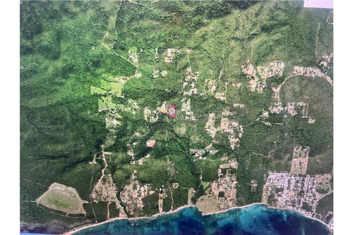 Puerto Real Puerto Rico, Venta Bienes Raíces Vieques Puerto Rico, Real ...