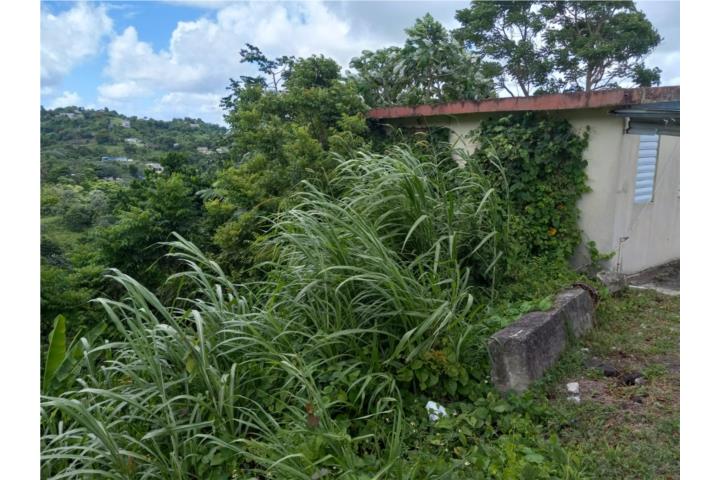 Tejas Puerto Rico, Venta Bienes Raíces Humacao Puerto Rico, Real Estate ...