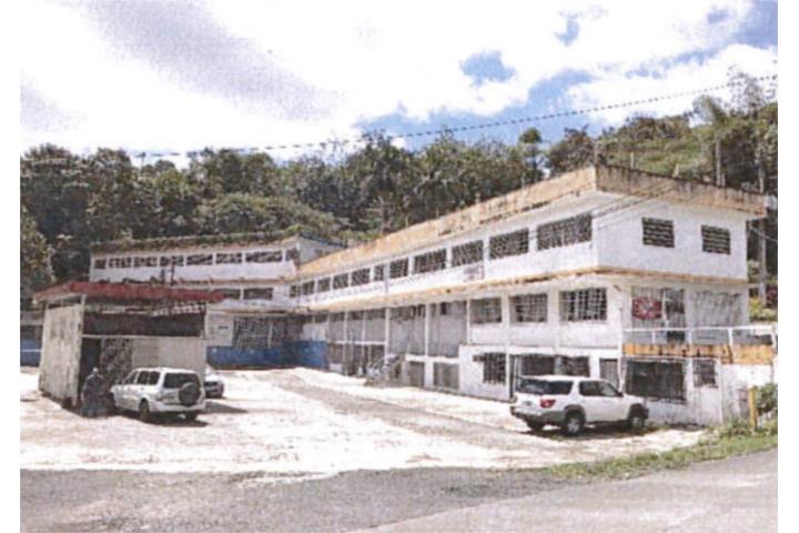 Barrio-Cupey Alto, San Juan - Río Piedras Puerto Rico