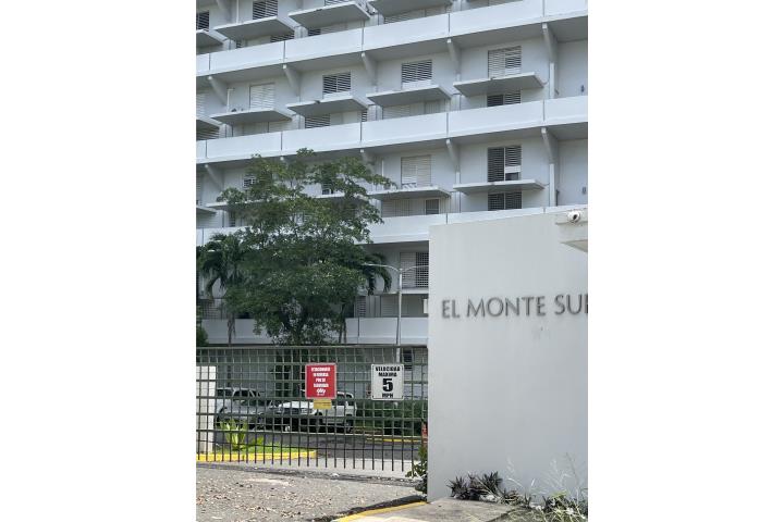 El Monte Sur Puerto Rico, Venta Bienes Raíces San Juan - Hato Rey ...