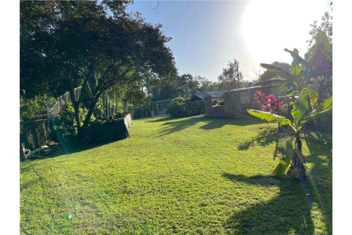 Caimito Bajo Puerto Rico, Venta Bienes Raíces San Juan - Río Piedras ...