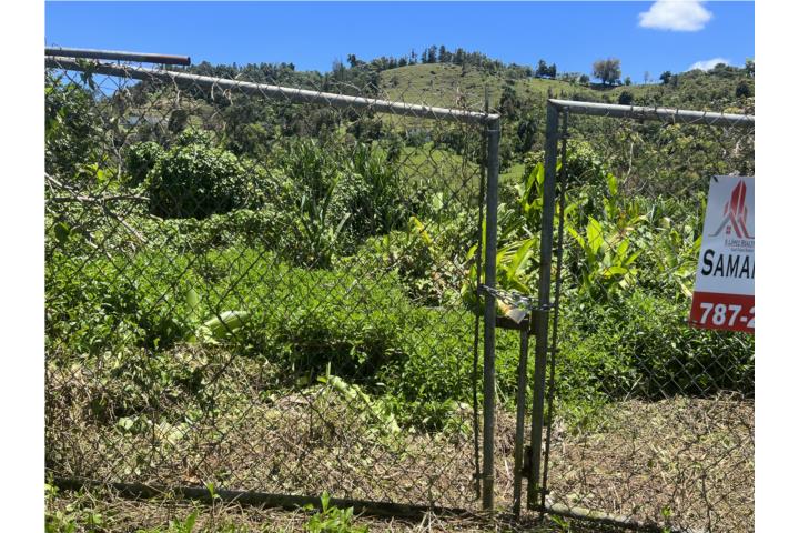 Guavate Puerto Rico, Venta Bienes Raíces Cayey Puerto Rico, Real Estate ...