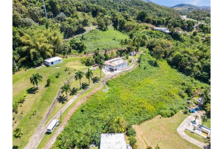 Cecilia Puerto Rico, Venta Bienes Raíces Naguabo Puerto Rico, Real ...