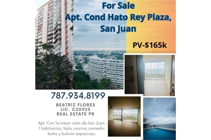 Hato Rey Plaza Puerto Rico, Bienes Raices Hato Rey Plaza Real Estate ...
