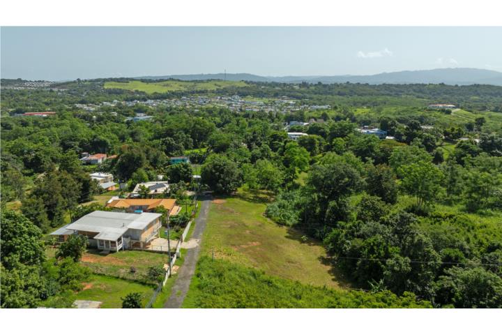 Miradero Puerto Rico, Venta Bienes Raíces Cabo Rojo Puerto Rico, Real ...